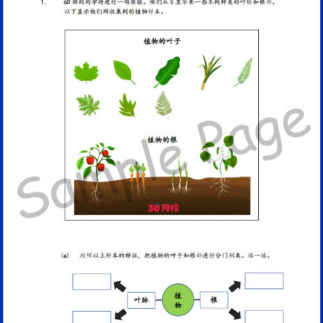 UASA + 单元练习：华小科学（六年级） - Zekolah.com