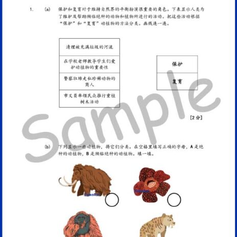 六年级 科学 年中考试 UASA格式 Standard 6 Science Mid Year Exam Paper UASA ...