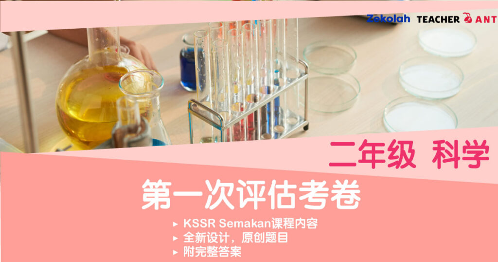 Primary School Standard 2 - Zekolah.com